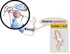 Understanding of Anterior Guidance | Whitepaper Dr. Dawson